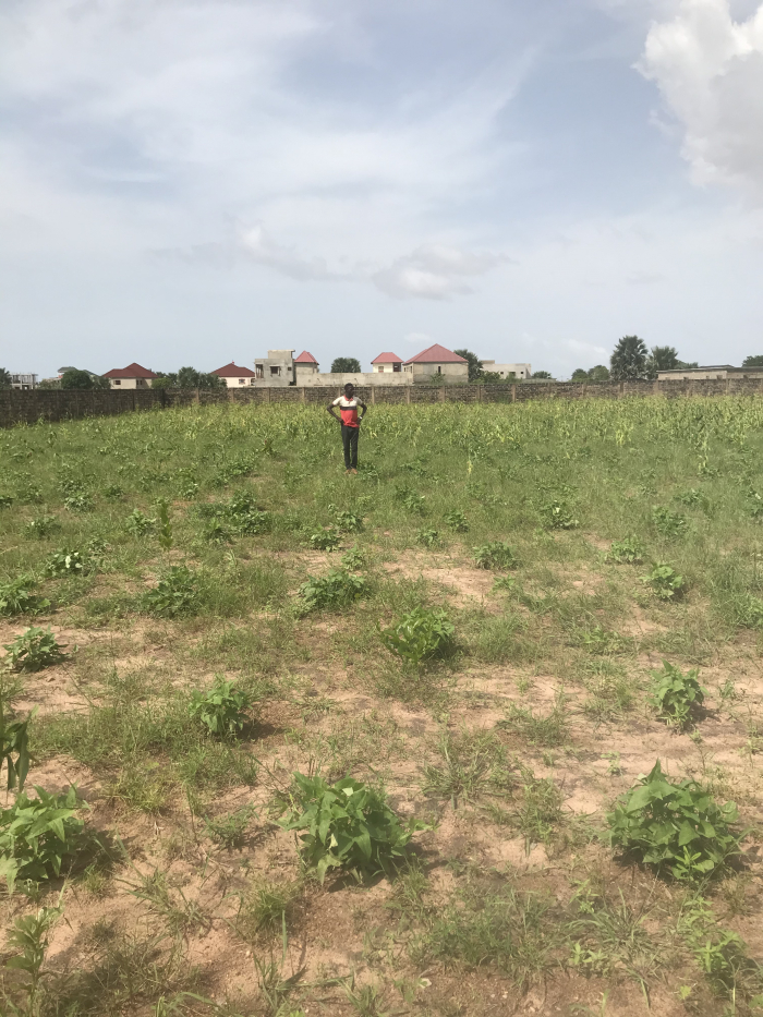 Plots of land for sale at Dalaba estate 22 x 22 meters for D1million ...
