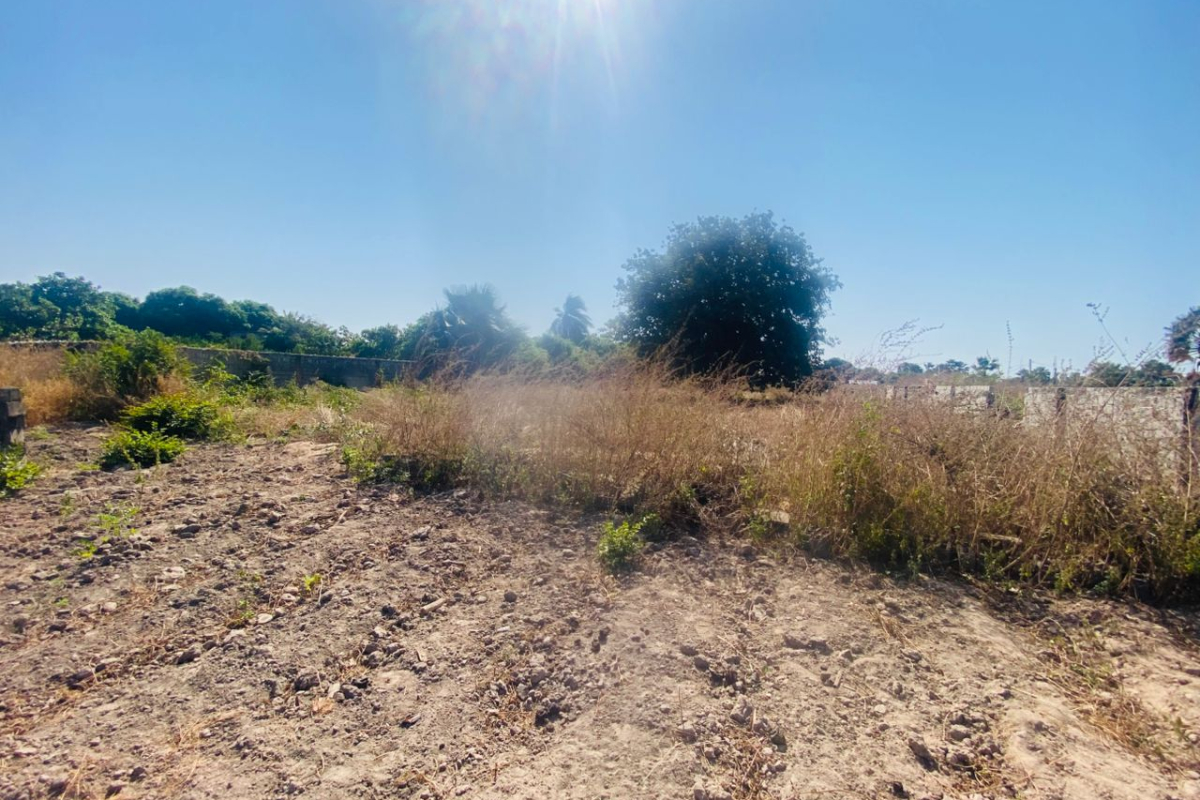 Strategic 24 x 42 m² Plot at Sanyang VIP Junction | Near Beach & Main ...